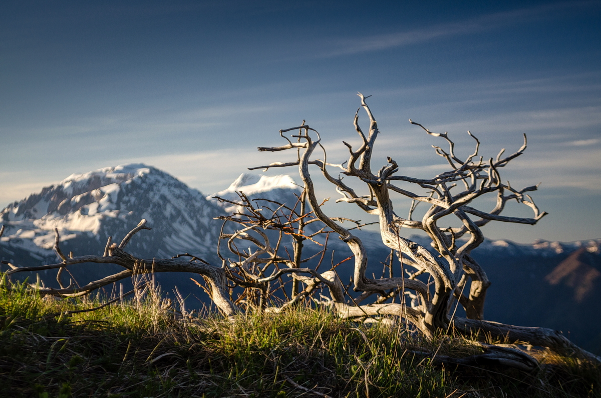 14-15 марта Черногор | График походов "Вертикали"